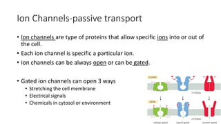 Cell-Transport-and-Homeostasis-PPT-USBT.pdf