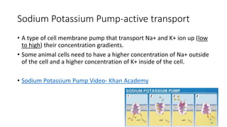 Cell-Transport-and-Homeostasis-PPT-USBT.pdf