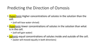 Cell-Transport-and-Homeostasis-PPT-USBT.pdf
