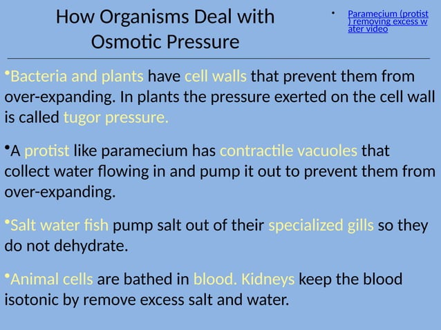 Cell-Transport-Powerpoint-1.pptx presentation | PPT
