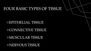 Cell-type-and-modifications 2.ppt presentation | PPTX