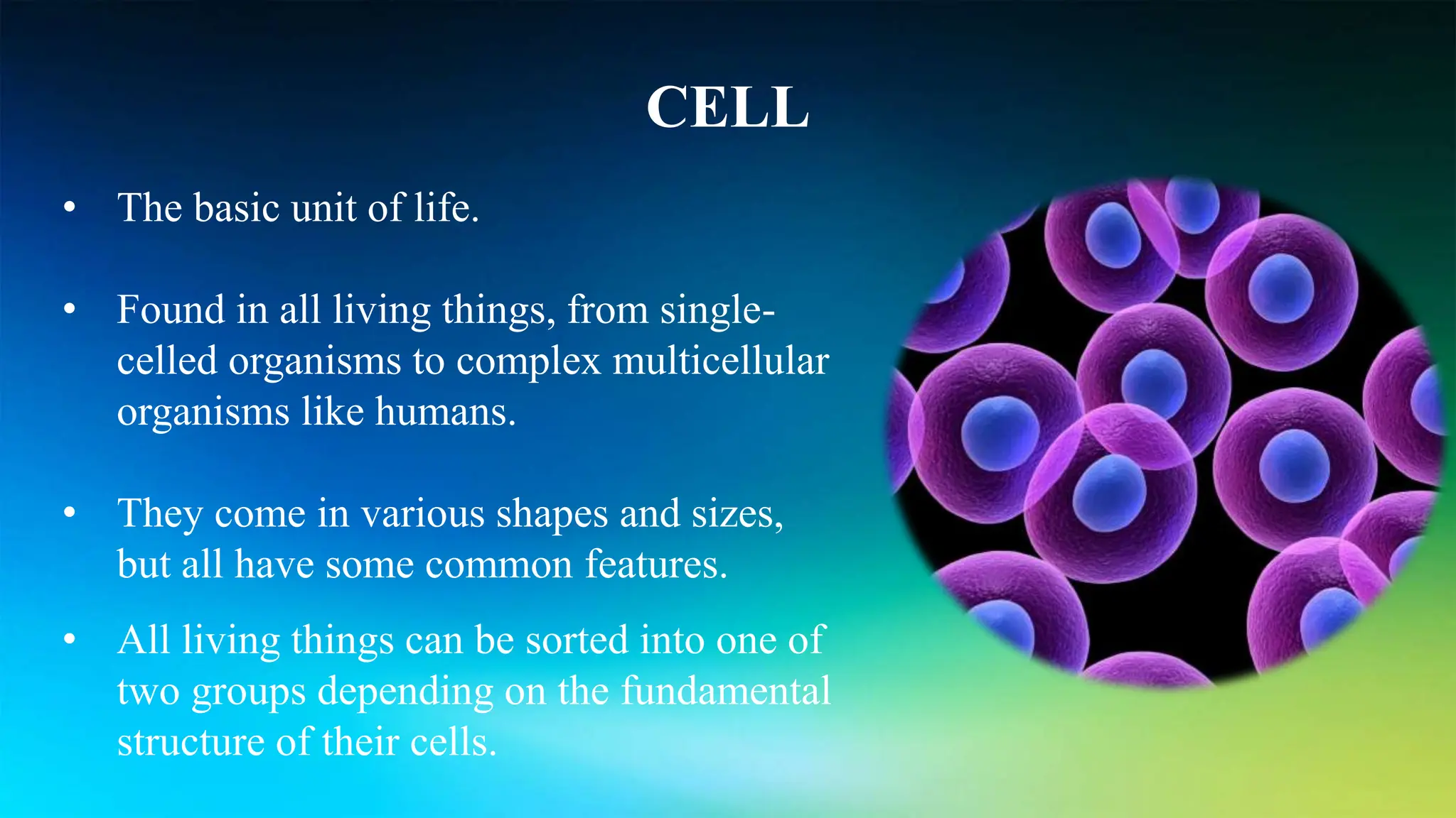THE CELL-TYPES PROCARYOTES AND EUKARYOTES.pptx. | PPTX