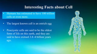 THE CELL-TYPES PROCARYOTES AND EUKARYOTES.pptx. | PPTX