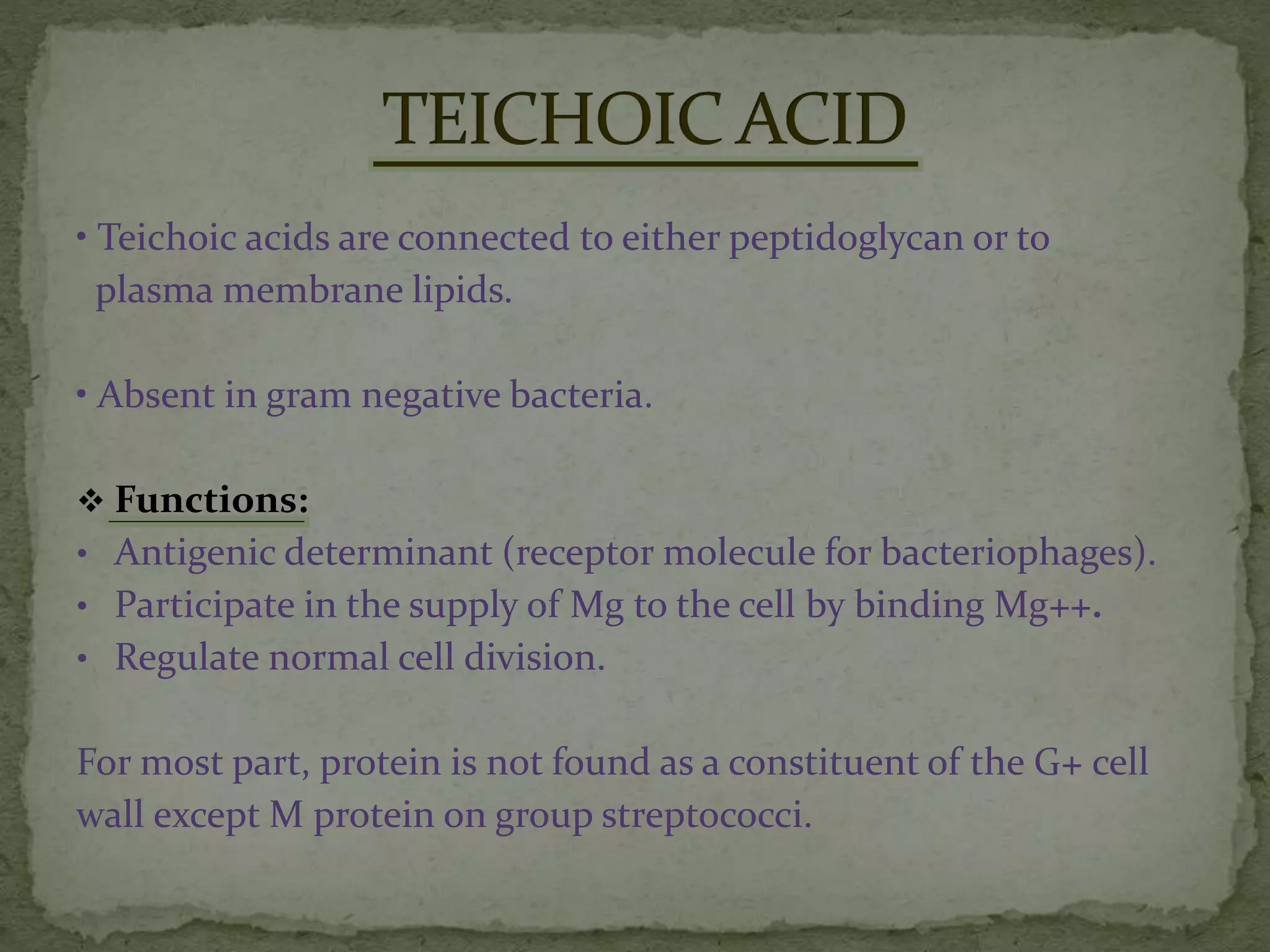 Cell wall of gram-positive bacteria | PPTX