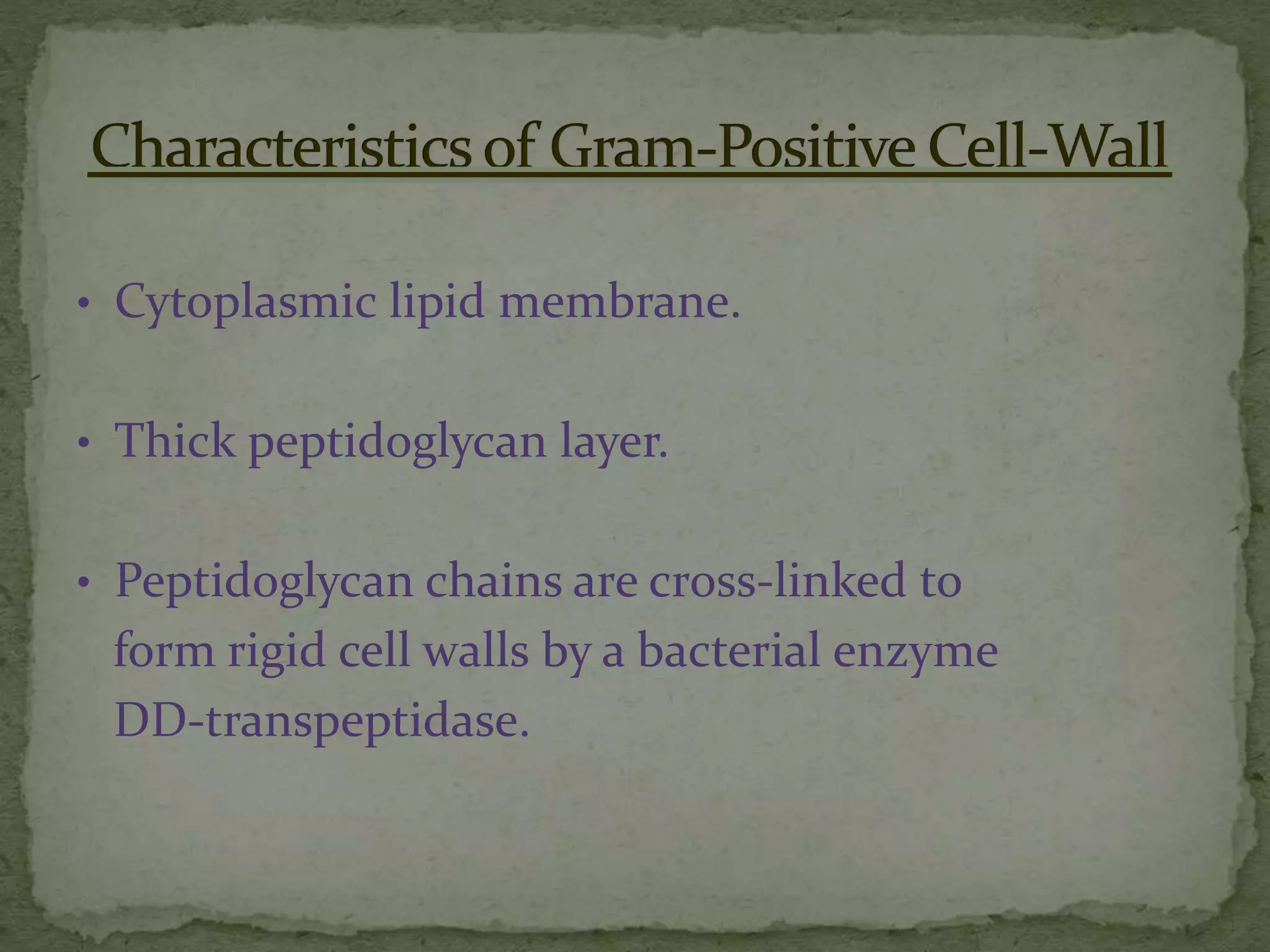 Cell wall of gram-positive bacteria | PPTX