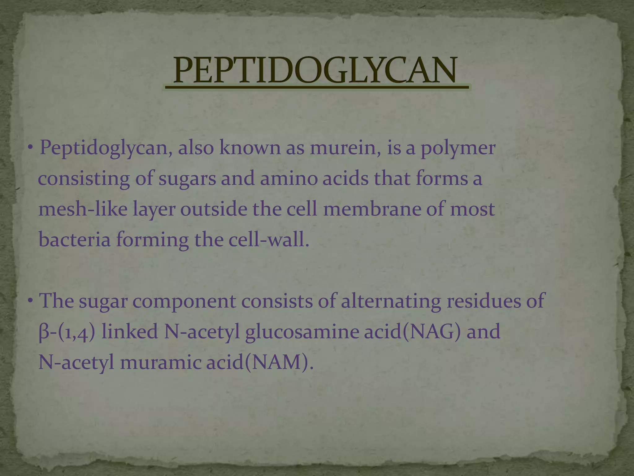Cell wall of gram-positive bacteria | PPTX