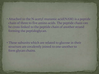Cell wall of gram-positive bacteria | PPTX