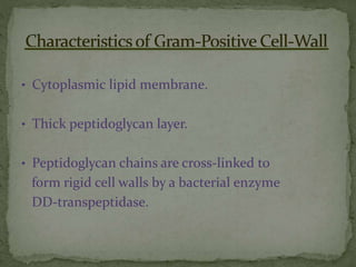 Cell wall of gram-positive bacteria | PPTX