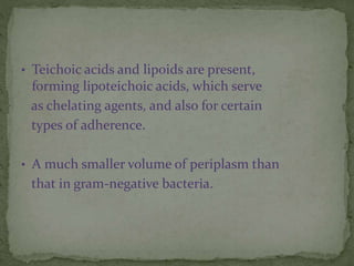 Cell wall of gram-positive bacteria | PPTX