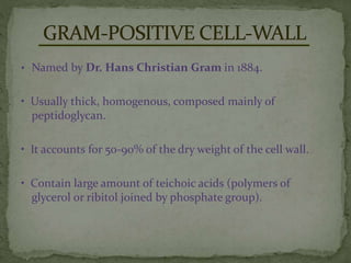 Cell wall of gram-positive bacteria | PPTX