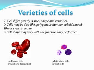 Cell The Unit of Life- 1 | PPTX