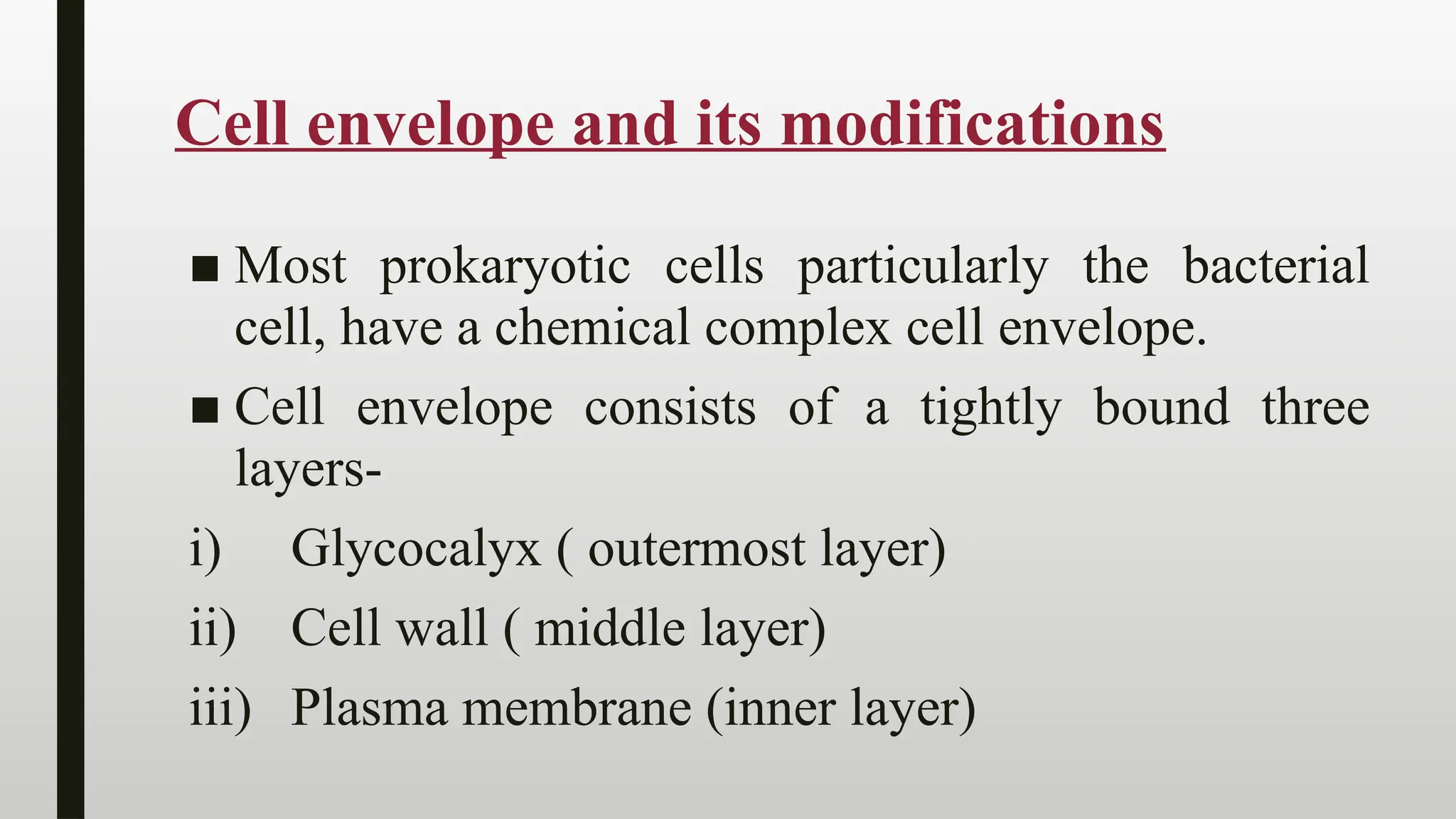 cell; the unit of life class 11 ppt file | PPTX
