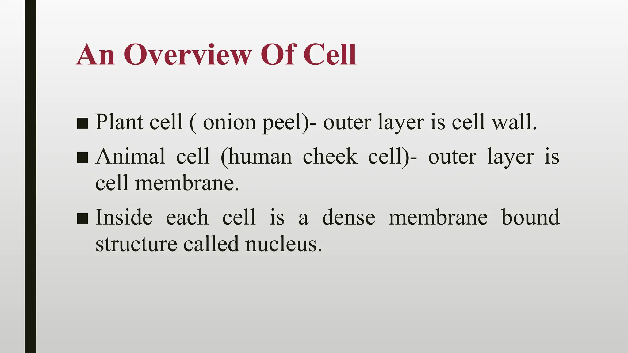 cell; the unit of life class 11 ppt file | PPTX