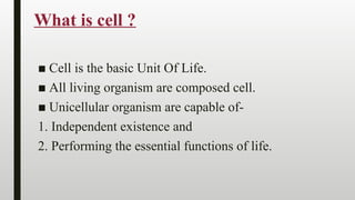 cell; the unit of life class 11 ppt file | PPTX