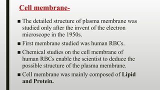 cell; the unit of life class 11 ppt file | PPTX