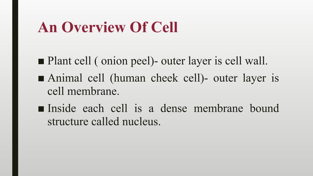 cell; the unit of life class 11 ppt file | PPTX