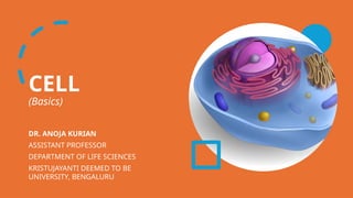 Cell Biology Basics: Cell Types and Organelles | PPTX