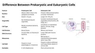 Cell Biology Basics: Cell Types and Organelles | PPTX