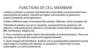 Comprehensive Overview of Cell Structure and Membrane Functions | PPTX