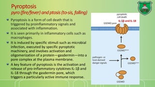 Cell 10 Cell renewal and death 2024-2025.pdf