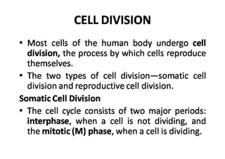 Cell 2 | PDF
