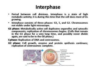Cell 2 | PDF