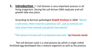 The cell cycle | PPT