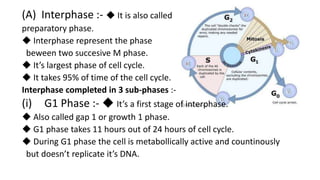 The cell cycle | PPT
