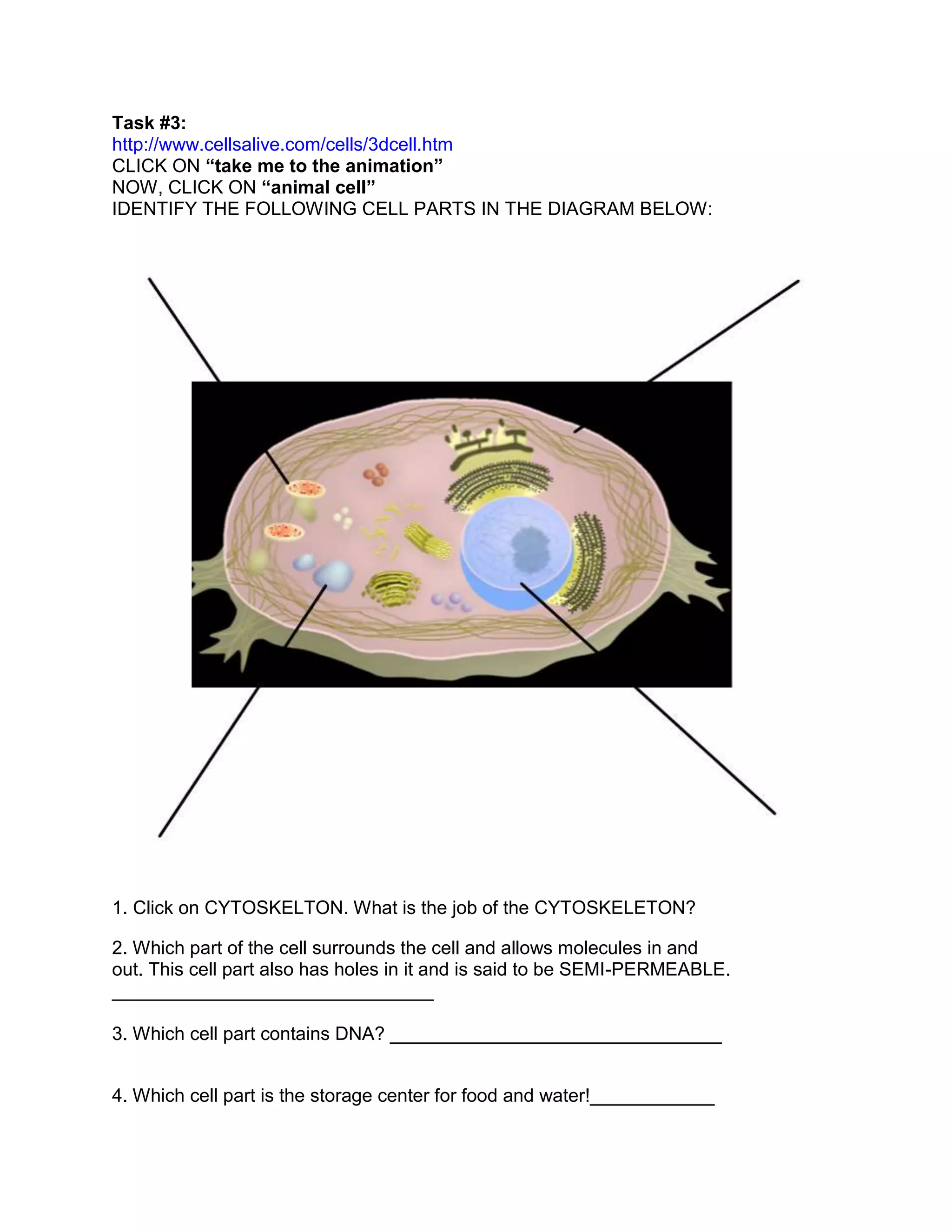 Cell Webquest Modified | DOCX