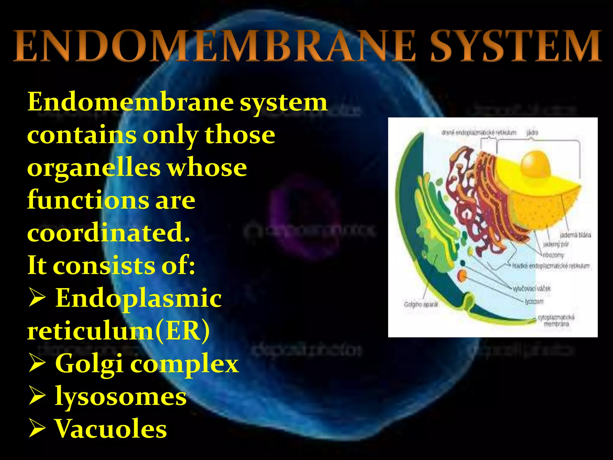 Cell The Unit of Life- 3 | PPTX