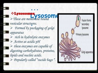 Cell The Unit of Life- 3 | PPTX