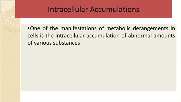 Cell accumulations foundation block pathology | PPT