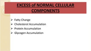 Cell accumulations foundation block pathology | PPTX