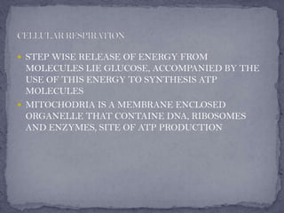 Cell activities | PPTX