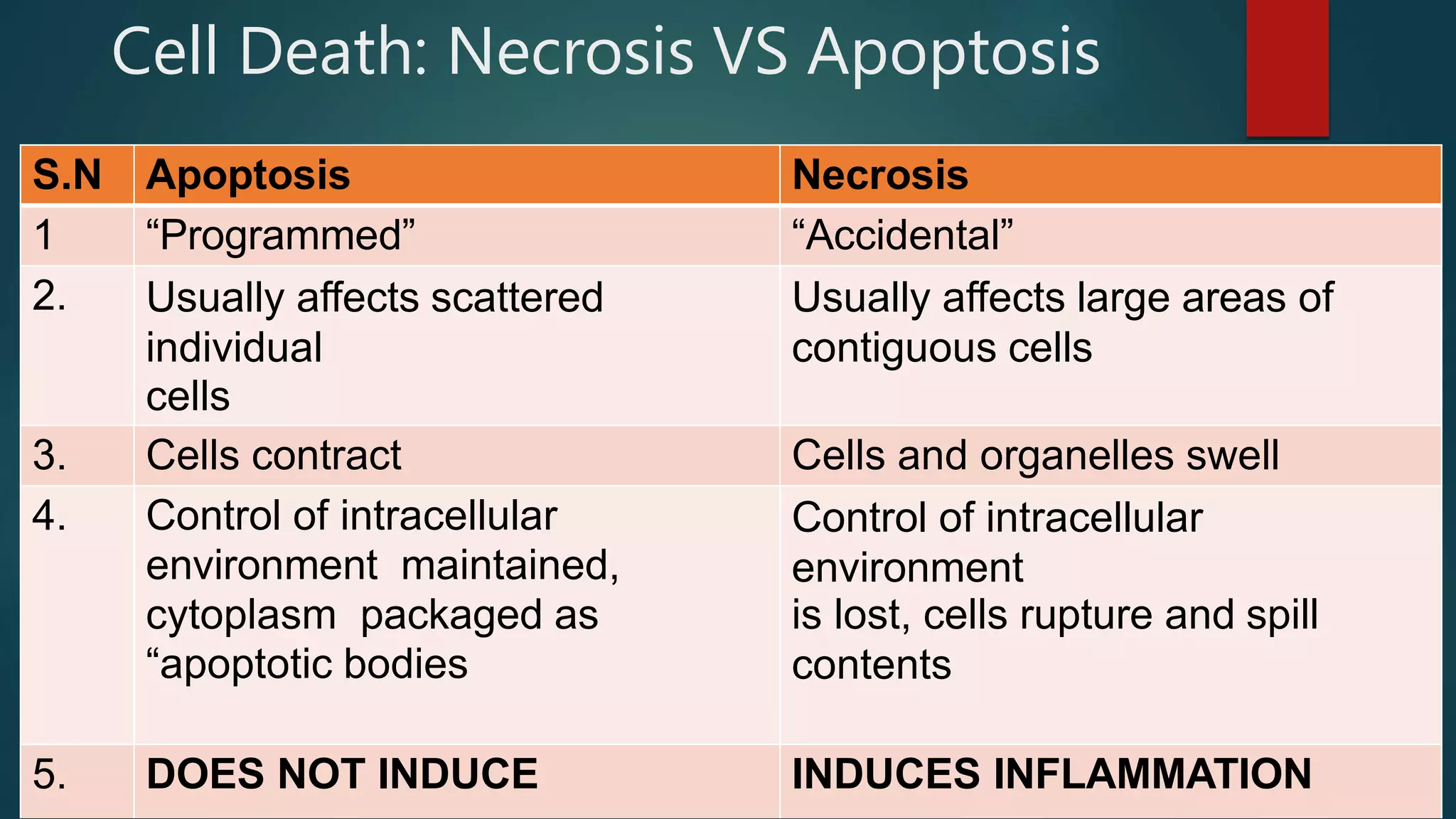 Cell adaptation & Cell injury and Cell death | PPTX