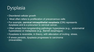 Cell adaptation & Cell injury and Cell death | PPTX