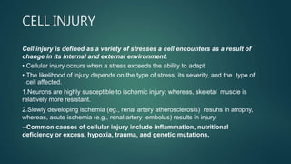 Cell adaptation & Cell injury and Cell death | PPTX