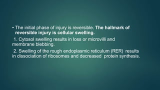Cell adaptation & Cell injury and Cell death | PPTX