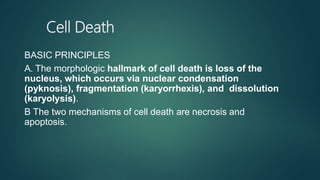 Cell adaptation & Cell injury and Cell death | PPTX