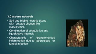 Cell adaptation & Cell injury and Cell death | PPTX