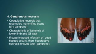 Cell adaptation & Cell injury and Cell death | PPTX