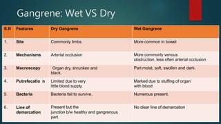 Cell adaptation & Cell injury and Cell death | PPTX