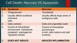Cell adaptation & Cell injury and Cell death | PPTX