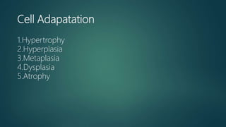 Cell adaptation & Cell injury and Cell death | PPTX