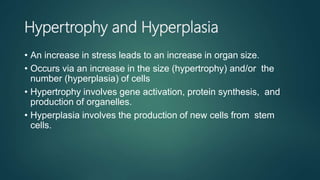 Cell adaptation & Cell injury and Cell death | PPTX