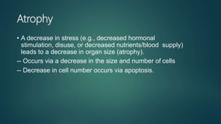 Cell adaptation & Cell injury and Cell death | PPTX