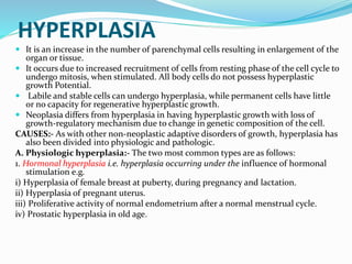 celladaptation-190708165026.pdf