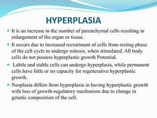 cell adaptation or cellular adaptation-190708165026.pptx | Endocrine ...