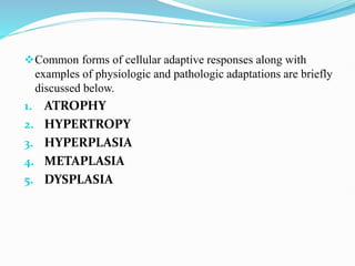 cell adaptation or cellular adaptation-190708165026.pptx | Endocrine ...