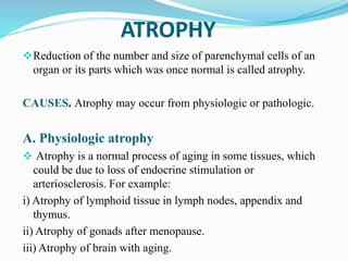cell adaptation or cellular adaptation-190708165026.pptx | Endocrine ...